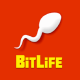 BitLife - Play Online BitLife on Hooda Math Unblocked
